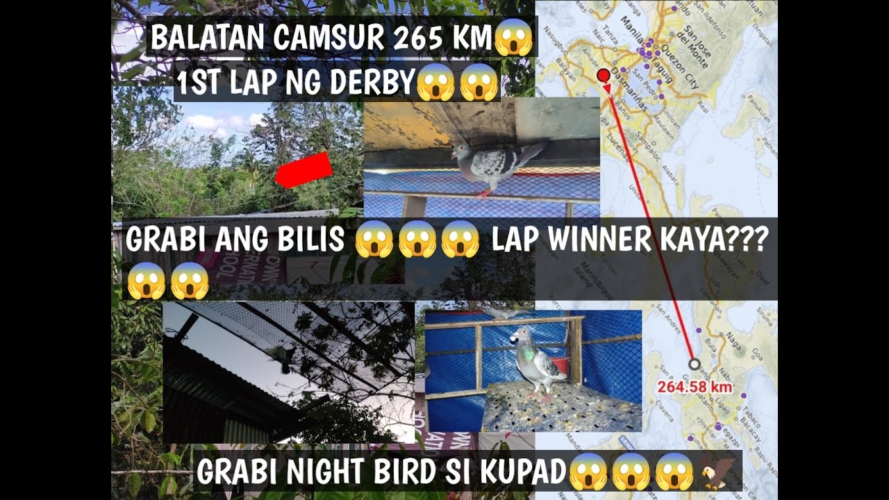 ARRIVAL BALATAN CAMSUR 265 KM 🦅🦅FINAL LAP / 3RD LAP NG FR 😱 | 1ST LAP ...