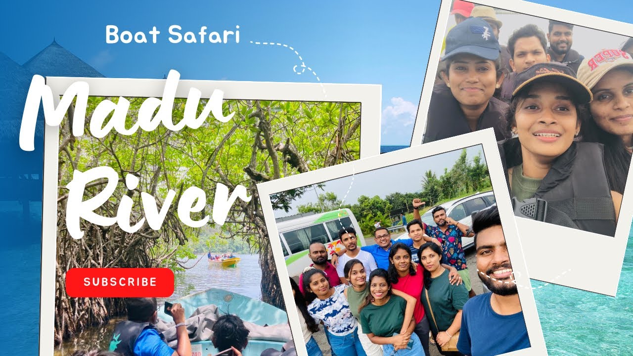 Madu Ganga | Madu River | Boat Safari | Balapitiya | Sri Lanka | Travel ...