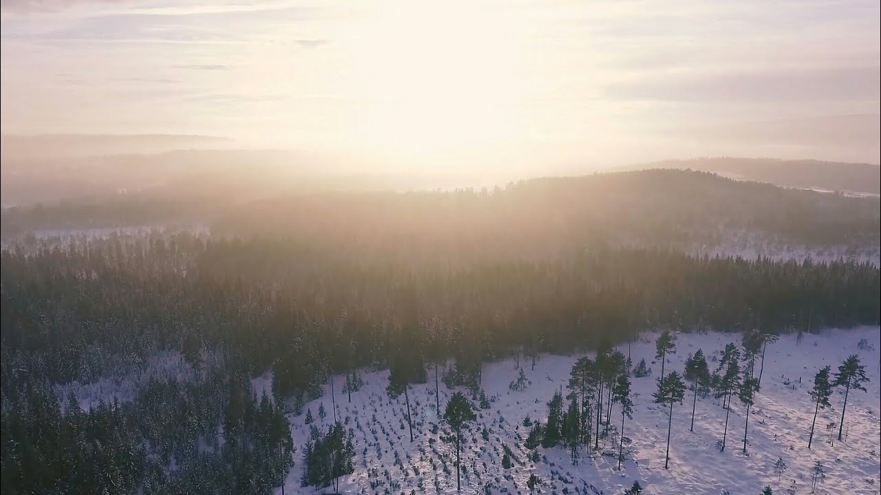 Drone shot Forest||Creative Commons || Copyright Free || NCS Video ...