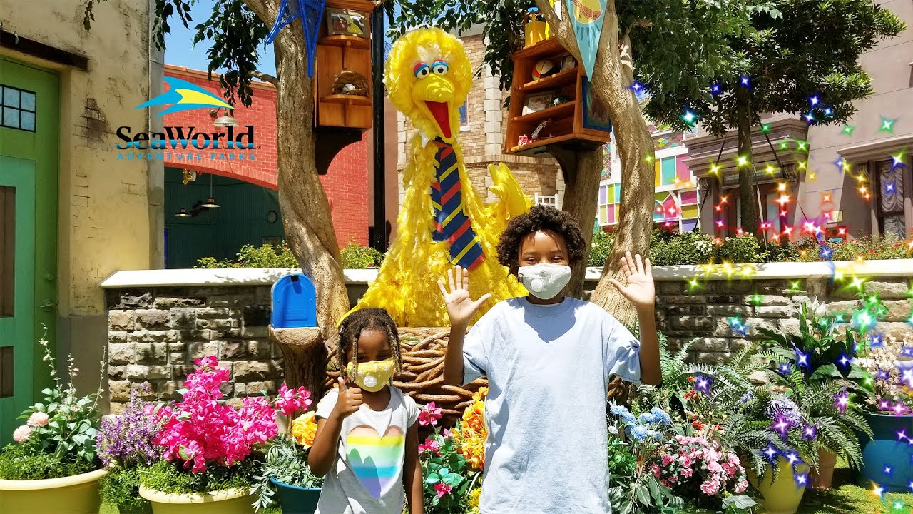 Seaworld Orlando Reopening Big Bird Meet and Greet Pictures - YouTube