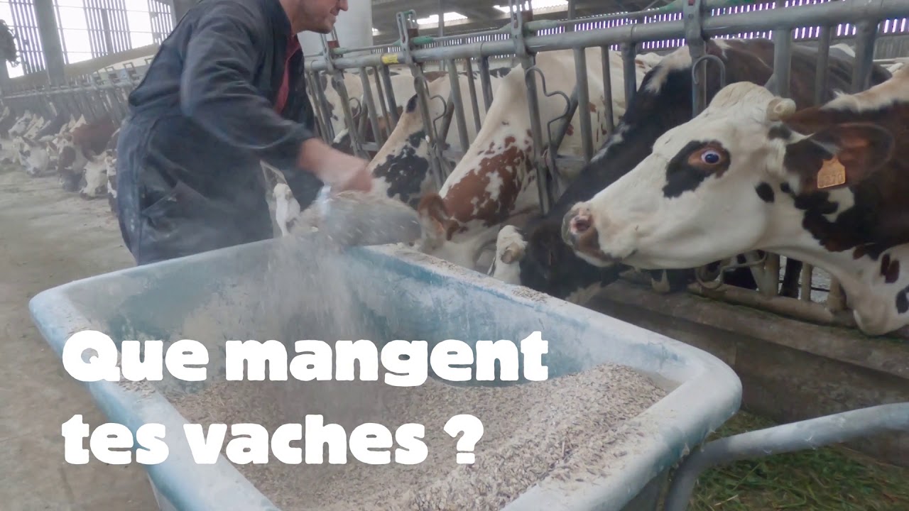 ERIC LEPAGE FERME DES GLYCINES SIMPLE COMME BONJOUR - YouTube