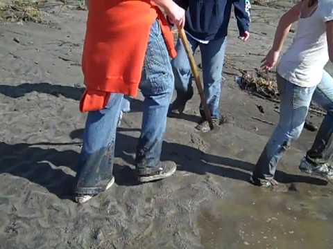 Kids playing in Quicksand