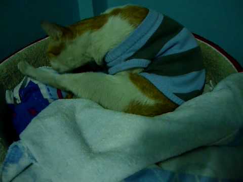 Waiting for sth to happen!! - YouTube