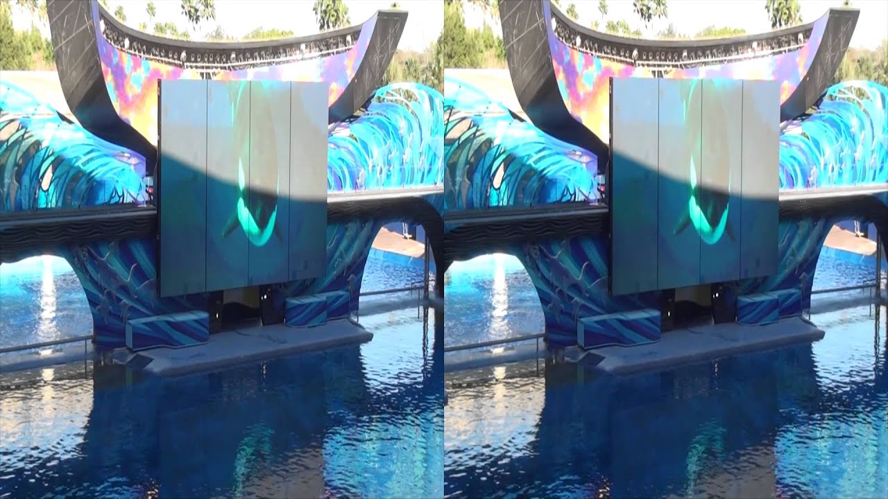A day at Seaworld with the Dolphins and Shamu in 3D - YouTube