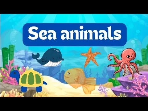 Sea Animal Songs - YouTube