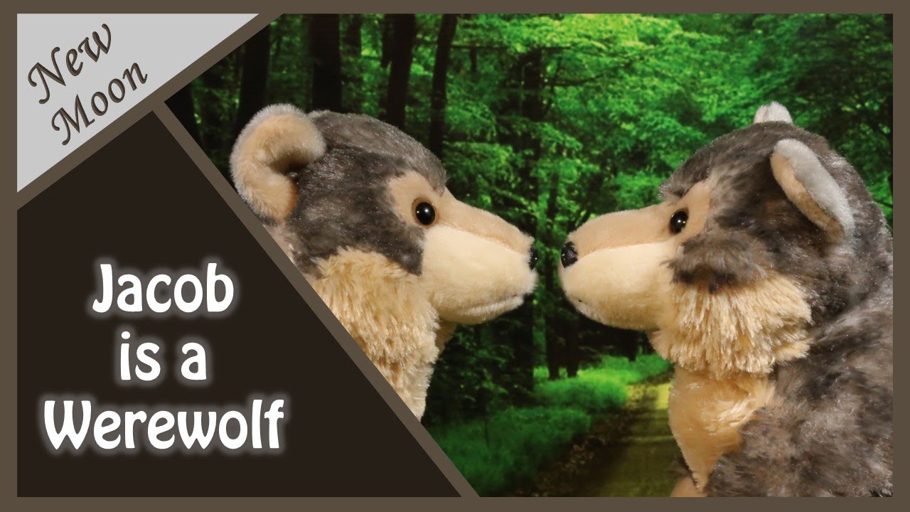 New Moon - Jacob is a Werewolf - Twilight Saga Barbie Doll Video - MPG ...