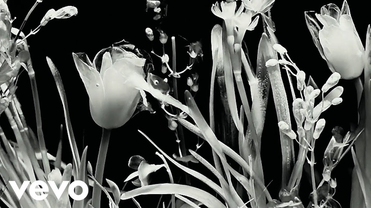 Lady Gaga - Flower Interlude (Live from the Chromatica Ball 2022) - YouTube Music