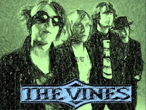 The Vines - Compilation Best Of (Full Album) - YouTube