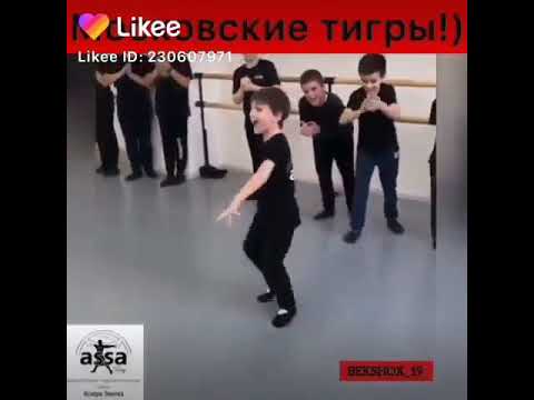 Московские тигры танцуют лизгинку