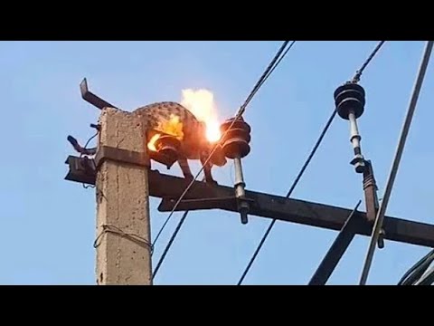Cat Gets Electric Shock !!😳 - YouTube