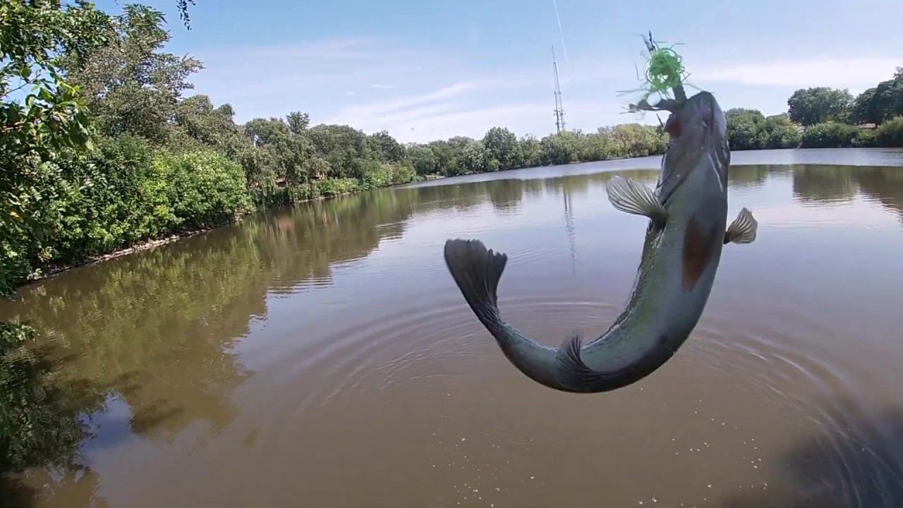 BASS FISHING IN DUPAGE COUNTY EP. 1 - YouTube