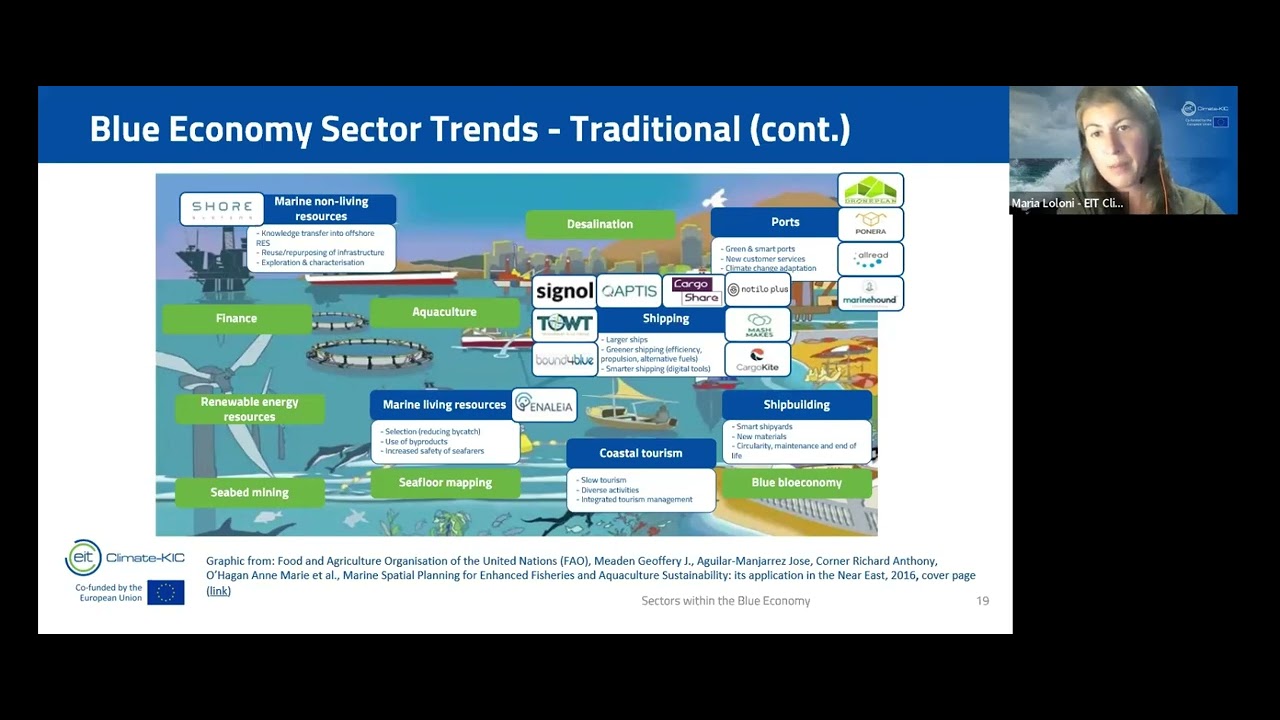 Irish Aid ClimateBasics: Sustainable Blue Economy - YouTube