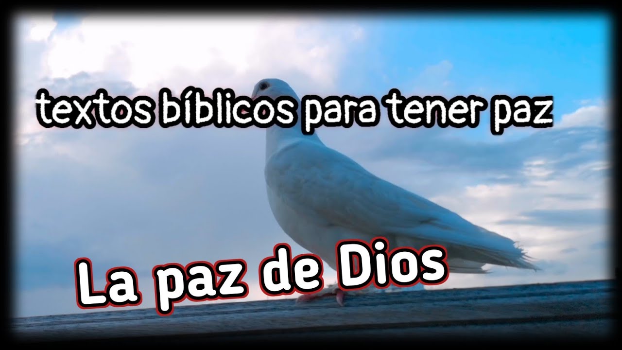 versículos bíblicos para tener paz - donde encontrar la paz de Dios ...