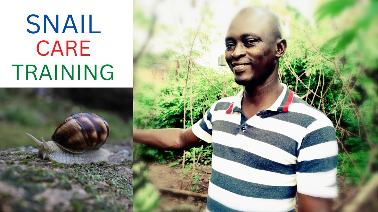 SNAIL CARE TRAINING. - YouTube