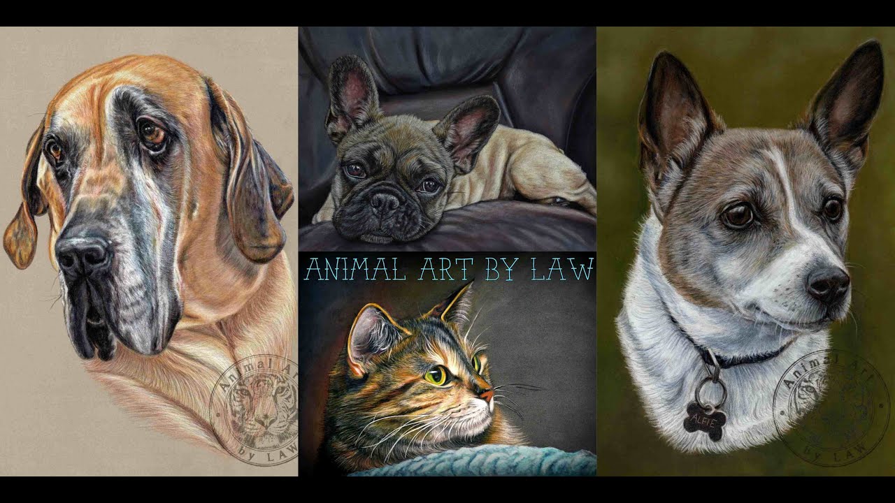 Pet portraits Wildlife Art & Press cuttings from 2015 - YouTube