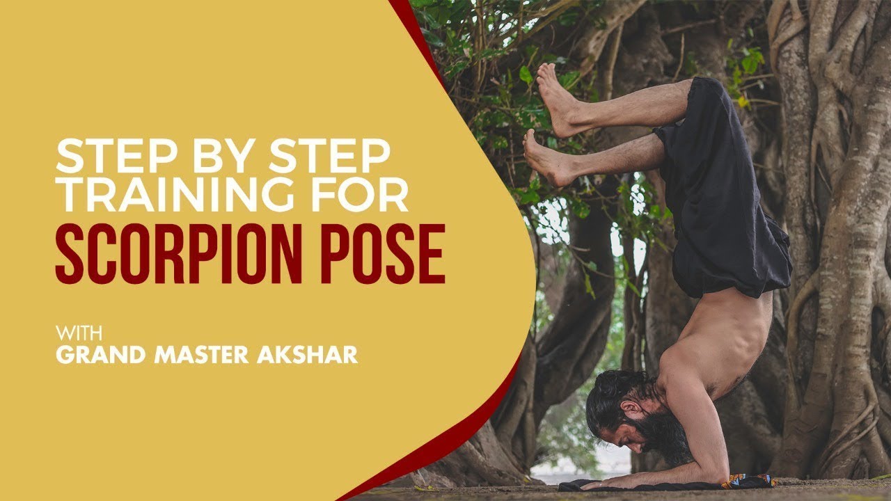 Vrishchikasana | Scorpion Pose | Step By Step Training Under the ...