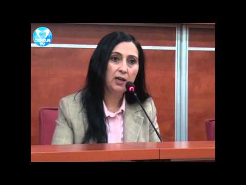 FİGEN YÜKSEKDAĞ VAN'DA ENGELLİLERLE BİR ARAYA GELDİ
