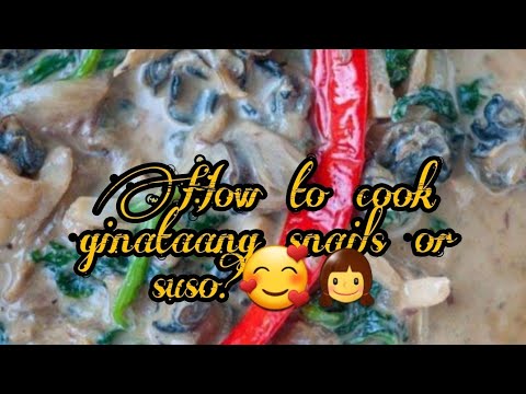 #How to cook ginataang suso#Bicol version ng snails with gata - YouTube