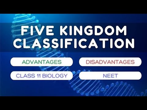 5 - Kingdom classification merits & demerits much betterly explained by ...