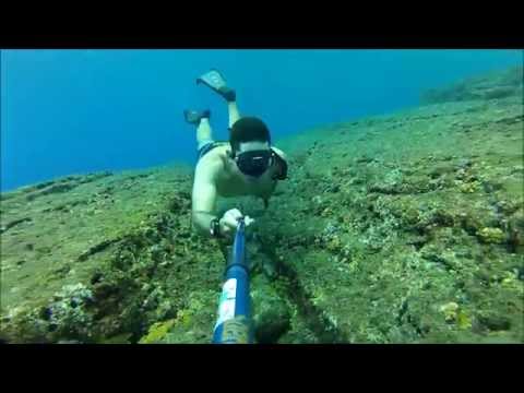 Yonaguni Pyramid Japan   Carousel of Life