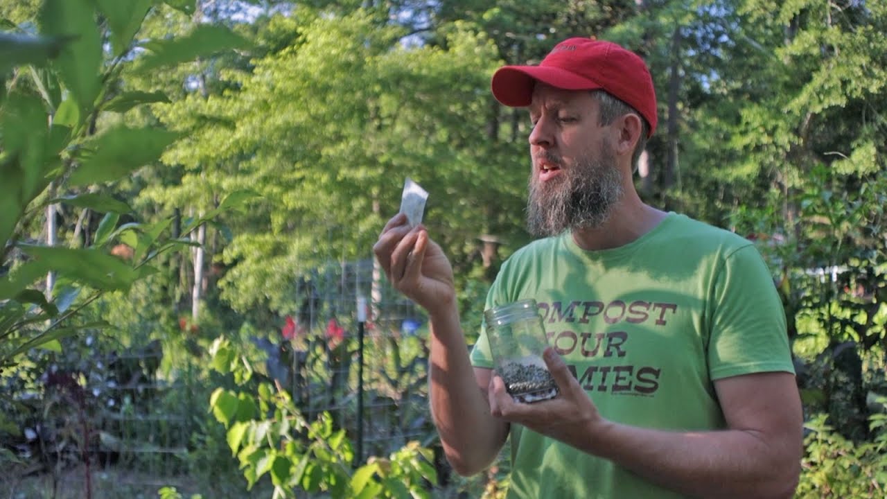 Gardening Tips and Tricks: Bad Harvest? Try This! - YouTube