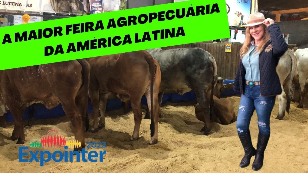 VISITEI A EXPOINTER 2023 | @viagensebeleza - YouTube