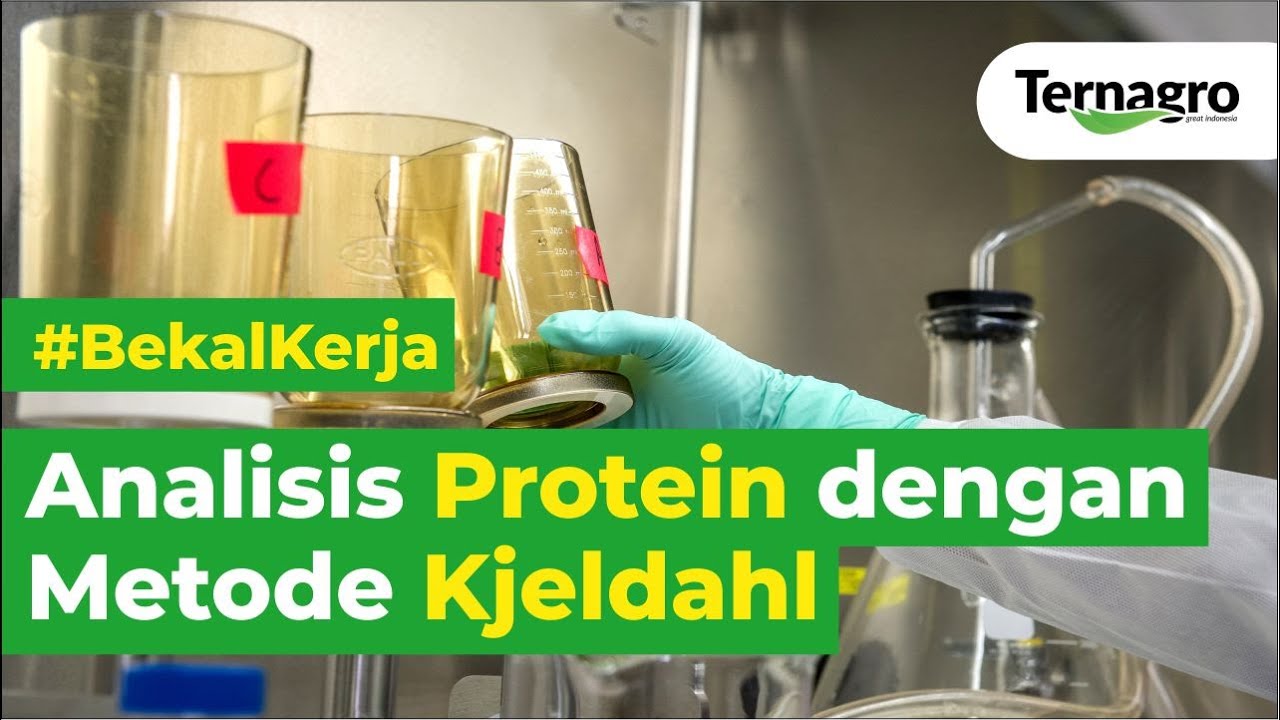 Analisis Protein dengan Metode Kjeldahl - YouTube