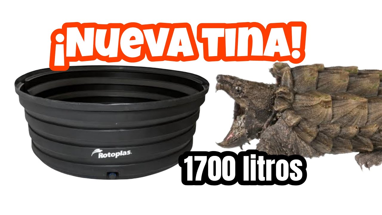 NUEVA TINA para la tortuga CAIMÁN - Rotoplas 1700 litros - YouTube