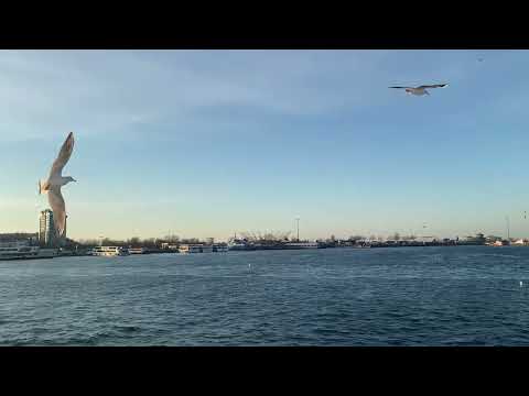 Rahatlatıcı Deniz Videoları Derlemesi #4k #deniz #manzara #tbt #martı #short #shorts #shortvideo