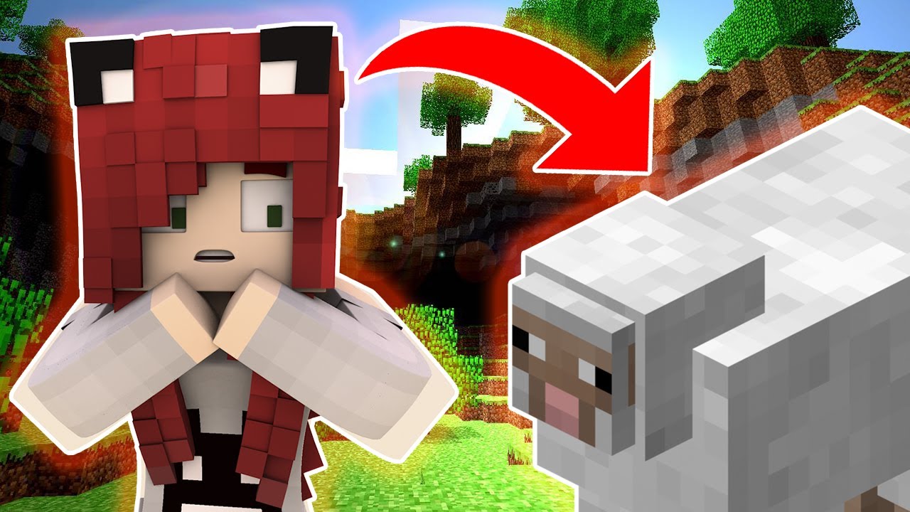 ME TRANSFORMO EN OVEJA POR UN DÍA EN MINECRAFT - YouTube
