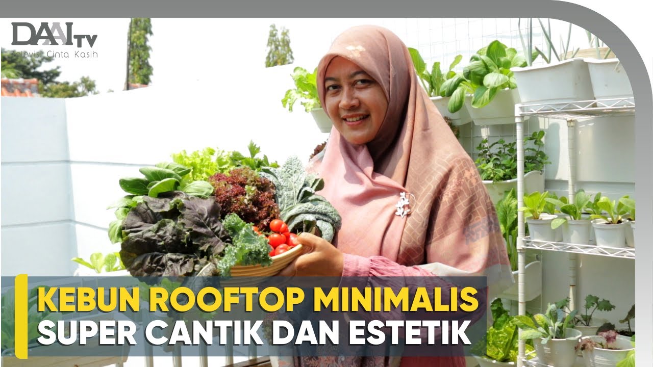 Cara Menata Kebun Mini Agar Cantik dan Estetik - YouTube