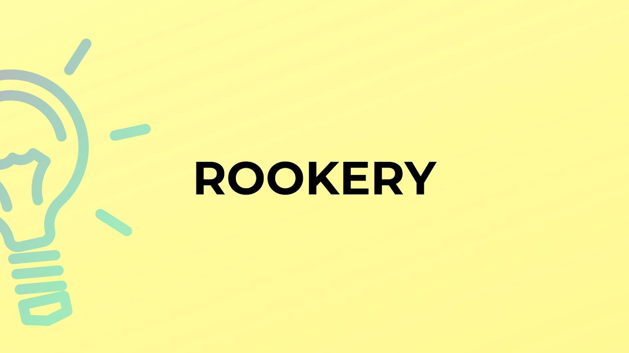What is the meaning of the word ROOKERY? - YouTube