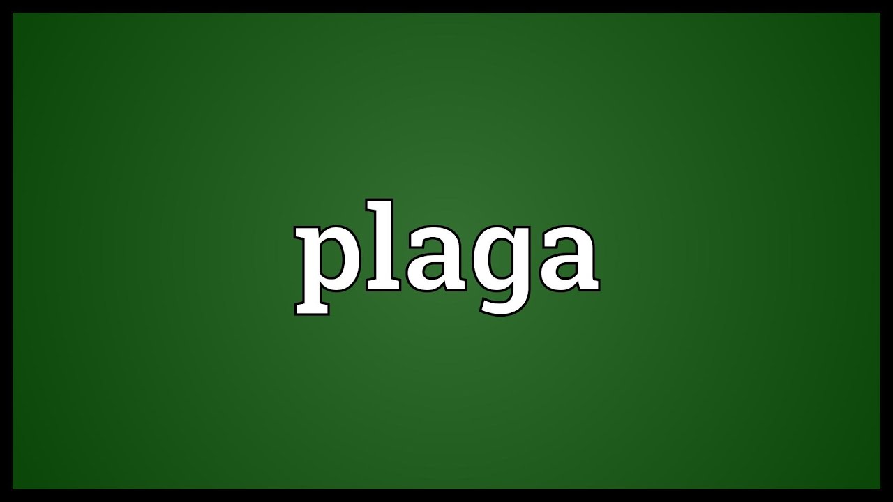 Plaga Meaning - YouTube