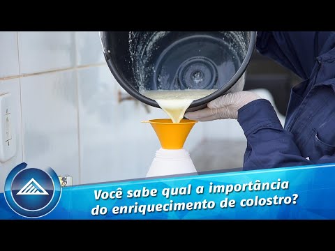 Você sabe qual a importância do enriquecimento de colostro?