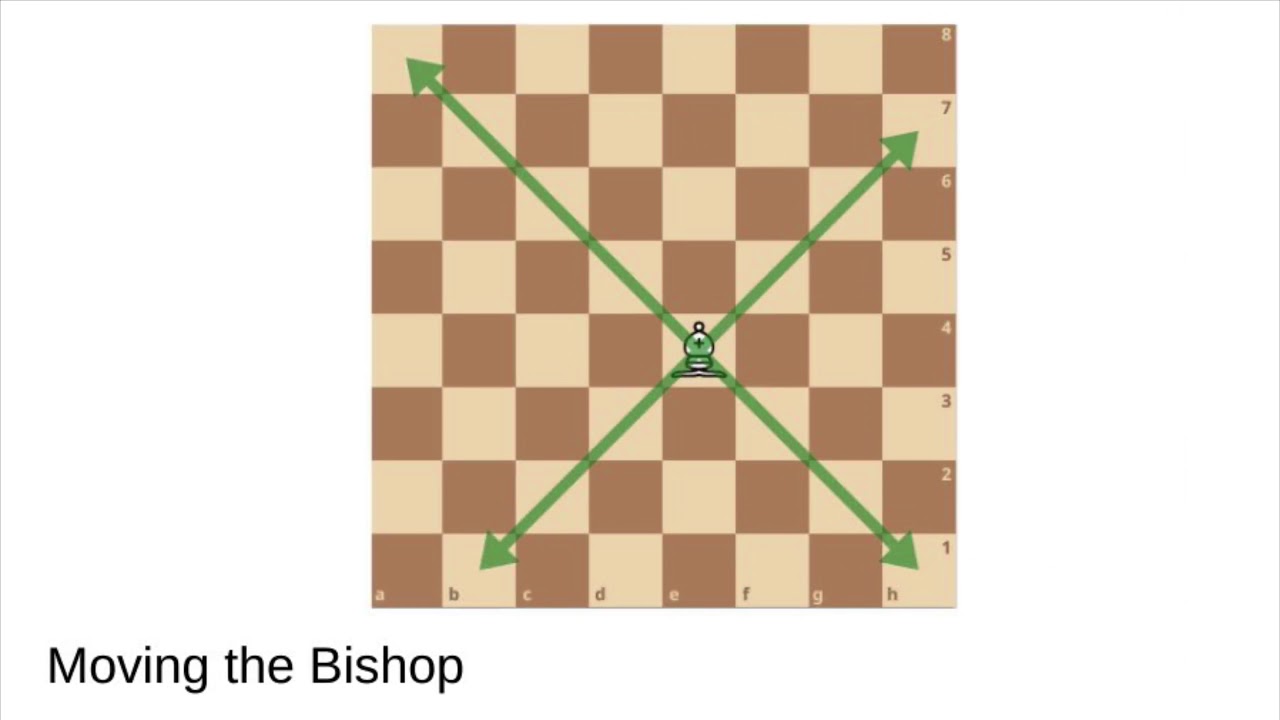 Chess Basics For Beginners (Learn All About The Chess Pieces - With ...