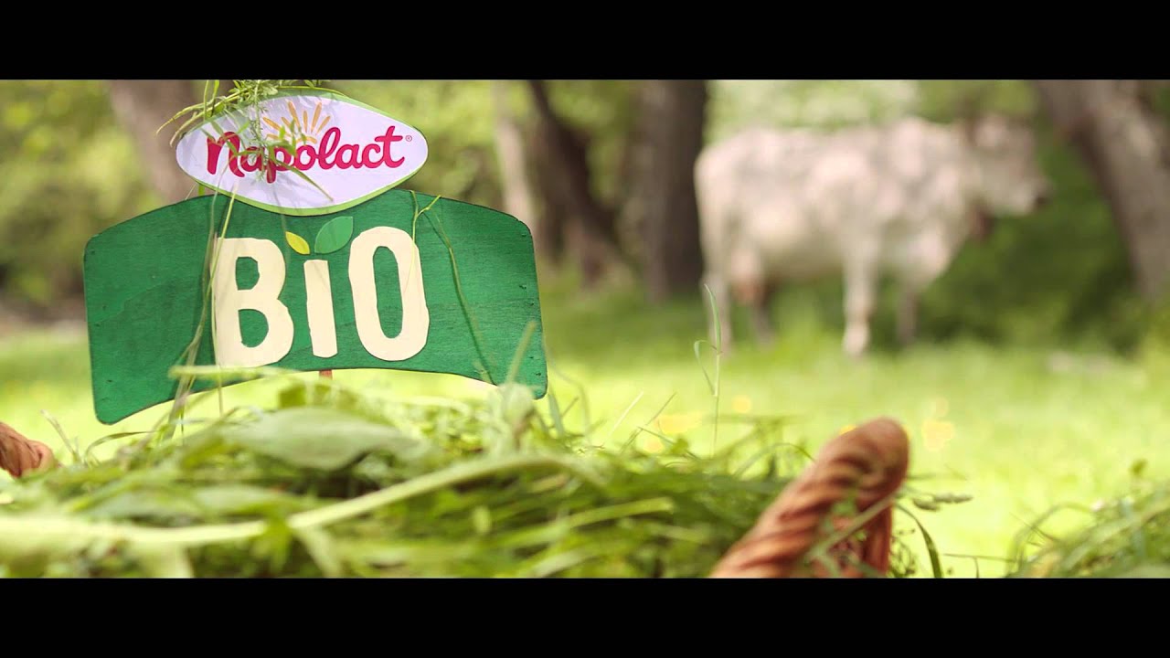 Noile lactate BIO de la Napolact - YouTube