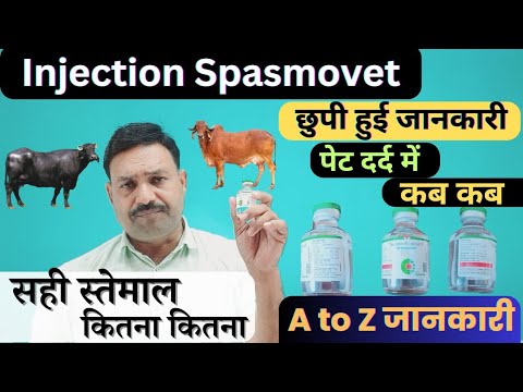 पेट दर्द का MASTER कब कैसे कितना Spasmovet Injection Veterinary / inj ...