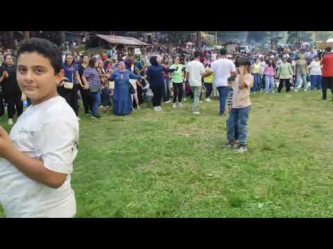 2025 yılı Şavşat Sahara Festivali'nde Pınar ÇELİK halaylarıyla izleyenleri oynattı. 