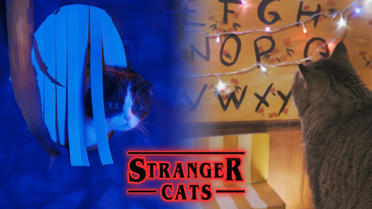 Rescue My Cat from the Upside Down | Miniature cardboard Stranger ...