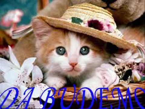 RODJENDANSKA PESMA - YouTube