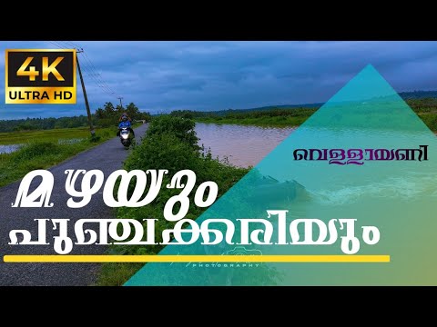 മഴയും പുഞ്ചക്കരിയും | vellayani | punchakkari | The beutyful place in ...
