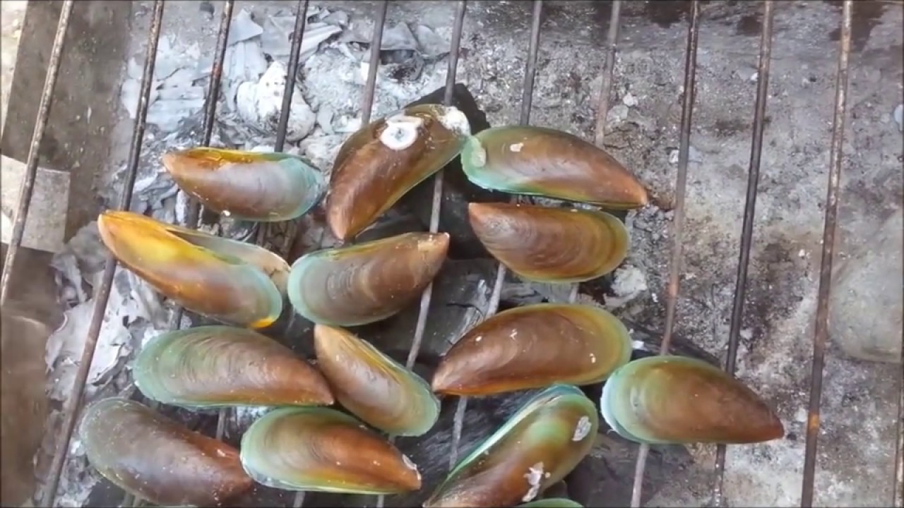 DIY GRILLED MUSSELS FILIPINO STYLE - YouTube