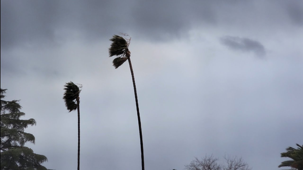 11:35am Very Gusty Windy SE Winds & Rain, Sun Peaks, December 13, 2021 ...