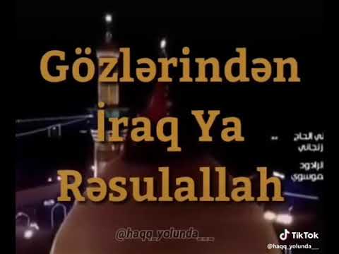 Dini video