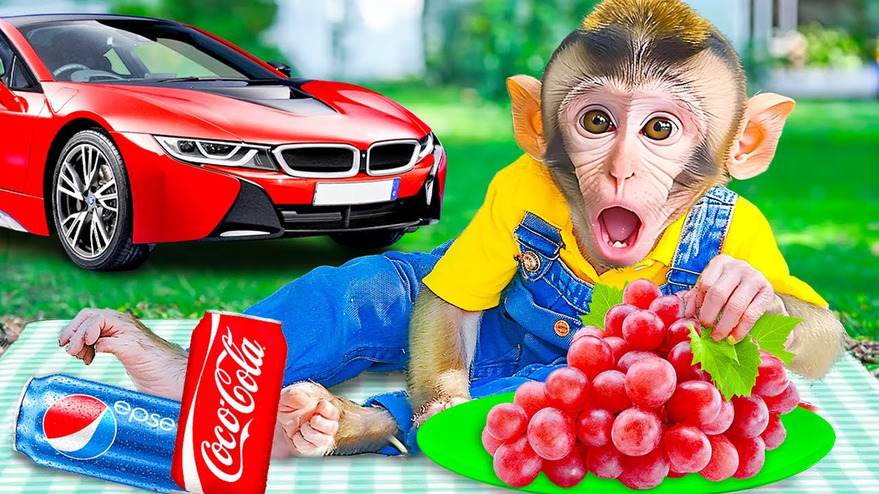 Monkey and Duckling Join Friends Play & Enjoy Fresh Fruits on Picnic ...