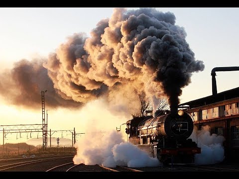 Treine / Trains - YouTube