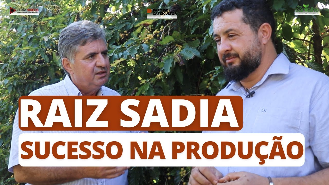 Raiz sadia: sucesso na produção - YouTube