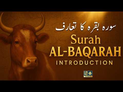Surah AL-BAQARAH | سوره البقرہ کا تعارف | Short Introduction | Quran | Surah Baqarah