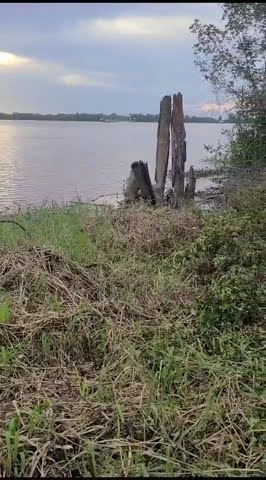 Nice view | River side | Beautiful #river #beautiful #dube - YouTube