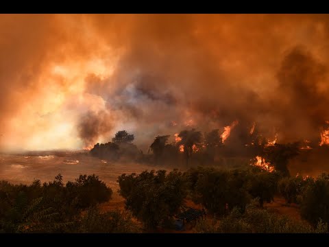 Adana'da Tarlada başlayıp ormanlık alana sıçrayan yangına müdahale ediliyor